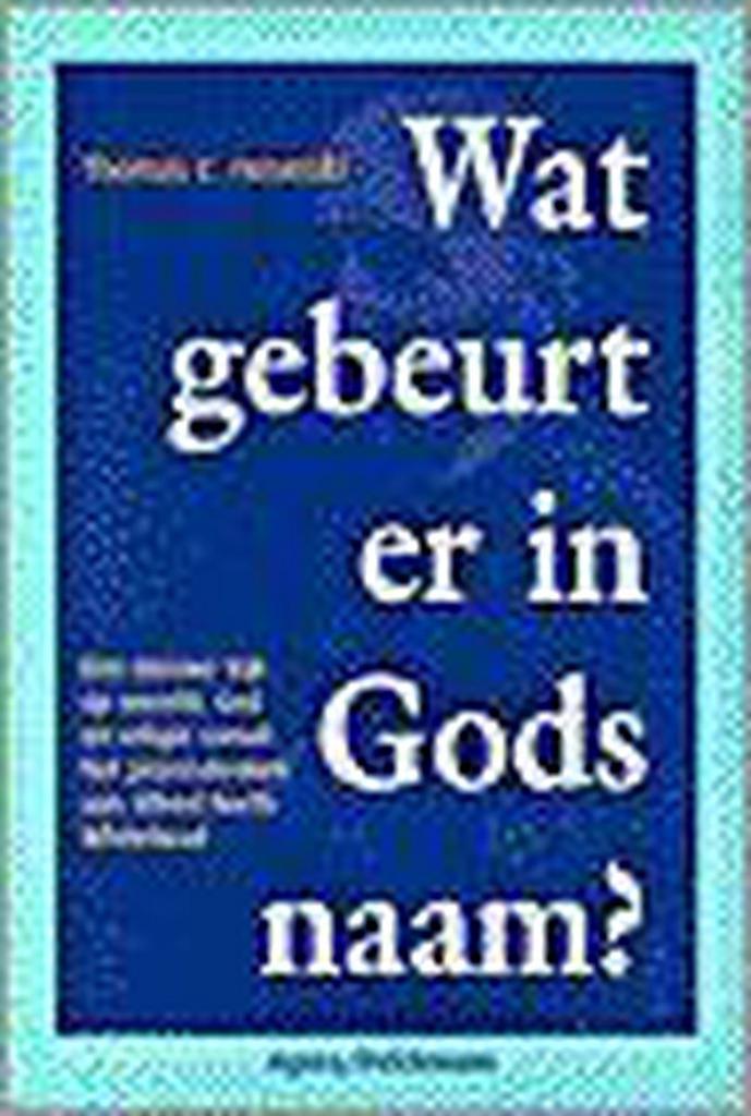 ② WAT GEBEURT ER IN GODS NAAM 9789039107911 T.E. Hosinski — Filosofie ...