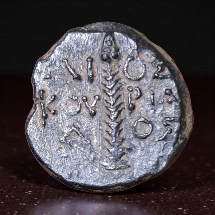 ② Colchis, Dioskourias Æ 105-90 BC (Zonder Minimumprijs) — Monnaies ...