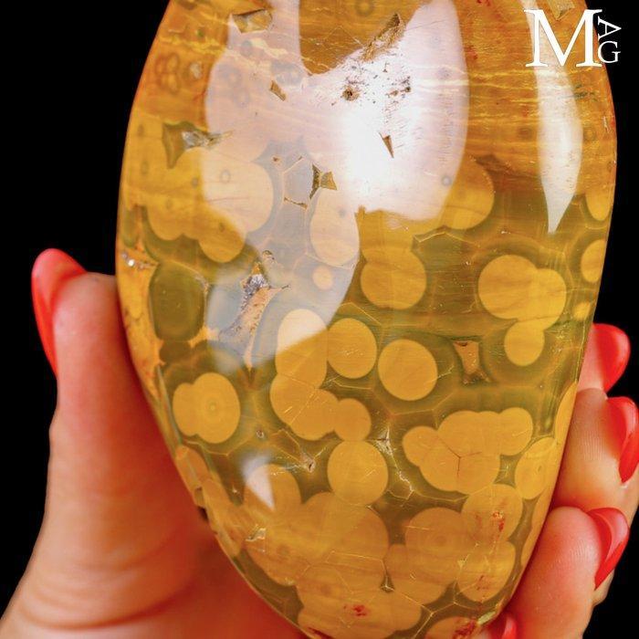 ② Zeldzame 8e ader Ocean Jasper Orbicular Ocean Jasper – 8e — Minéraux ...