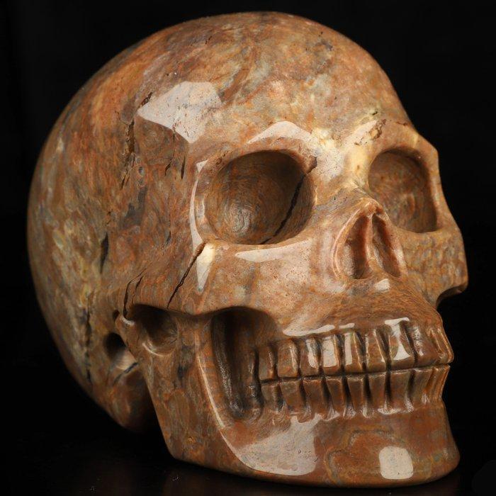 ② Dinosauriënei-aankoop schedel 571g Wonder van ons verleden — Minéraux ...