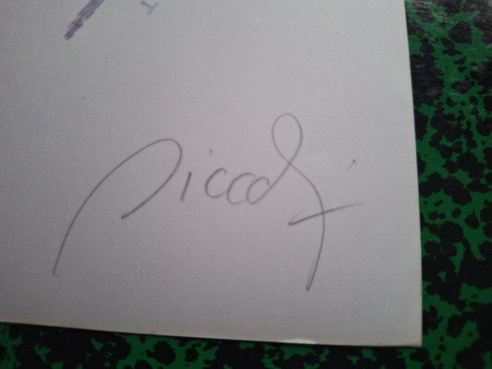 ② Patrick Siccoli - Princess Stephanie of Monaco at the — Kunst ...